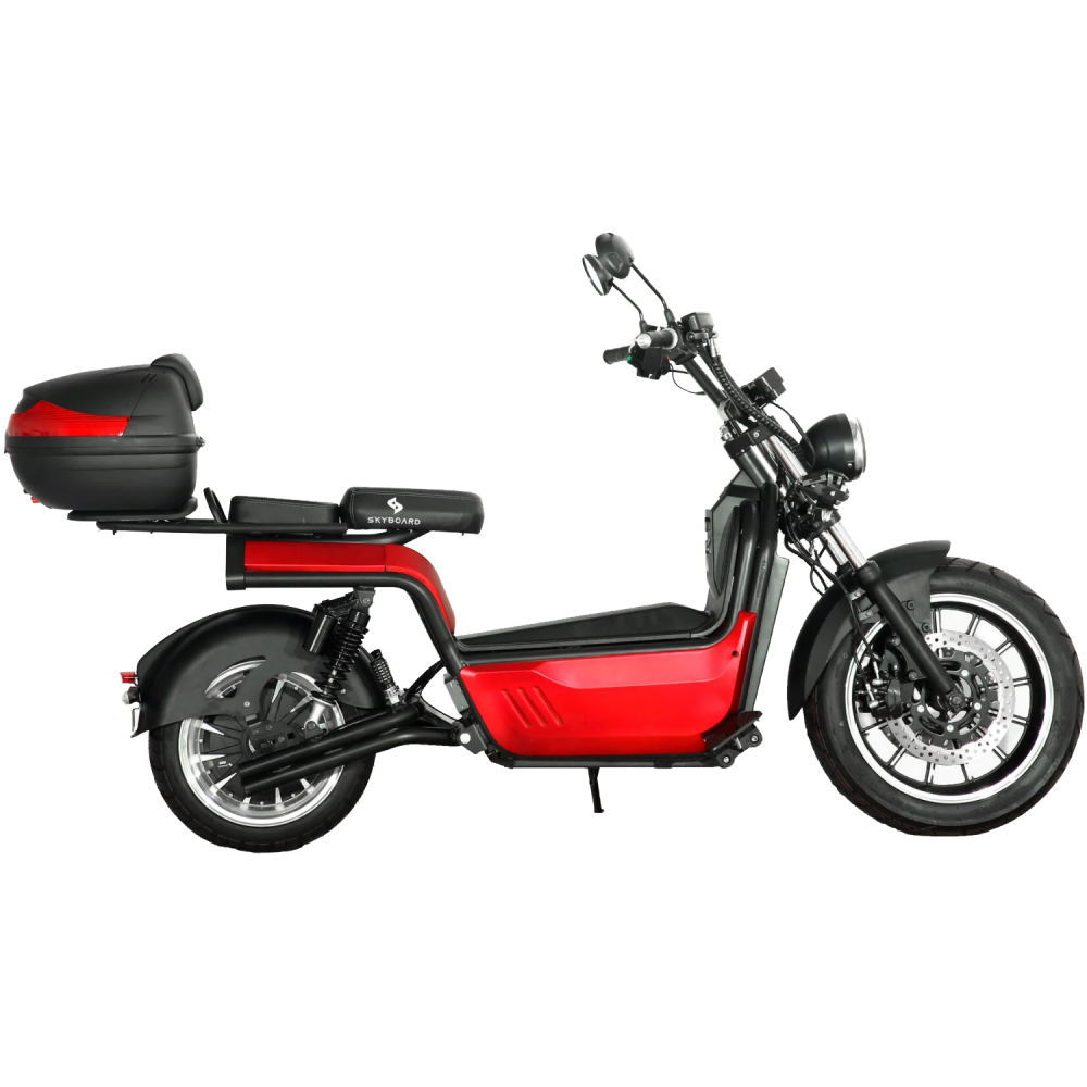 Skyboard BR100-5000 (Amur) купить в Москве - Цена, Характеристики | Магазин EcoMoto